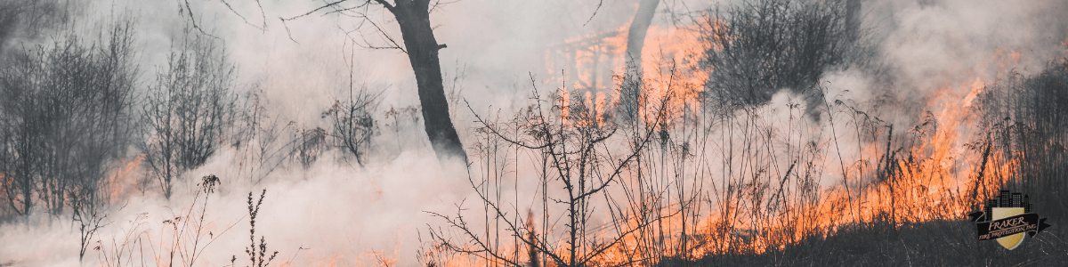 Post-Wildfire Efforts Help Reduce These After Effects - Fraker Fire